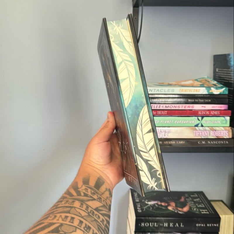 Duskwalker Brides FaeCrate Special Edition 1-4 by , Hardcover | Pangobooks