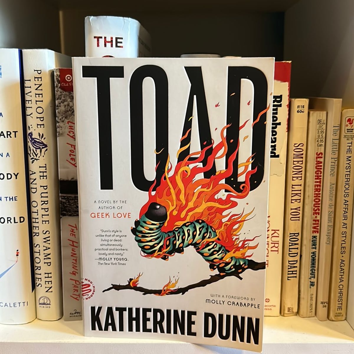 Toad by Katherine Dunn, Paperback | Pangobooks