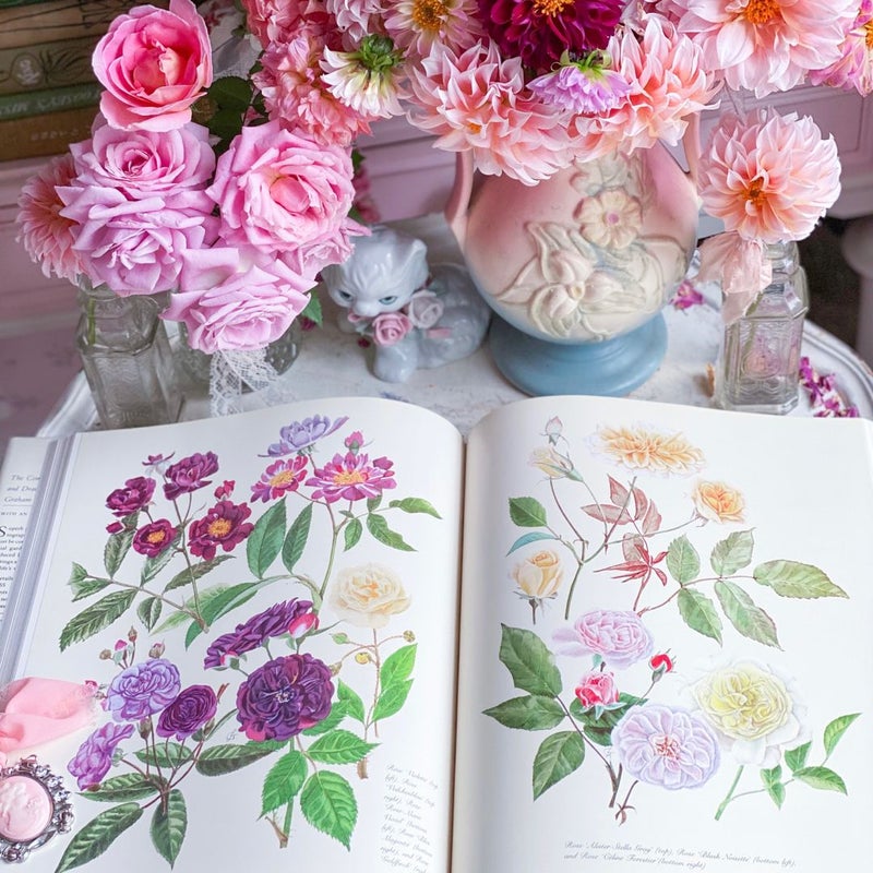 Complete Flower Paintings and Drawings of Graham Stuart Thomas by Graham S. Thomas