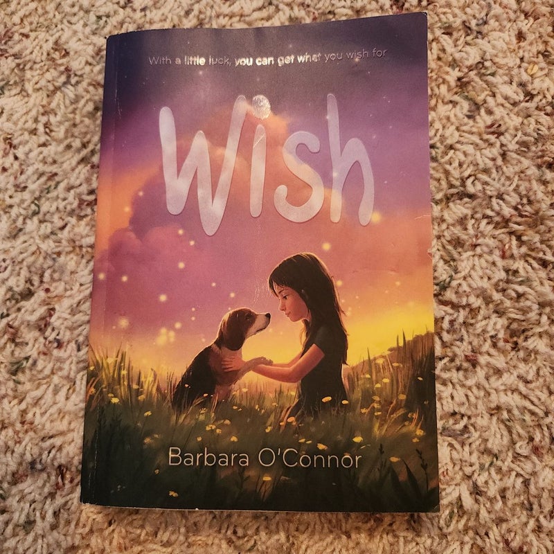 Wish by Barbara O'Conner , Paperback | Pangobooks