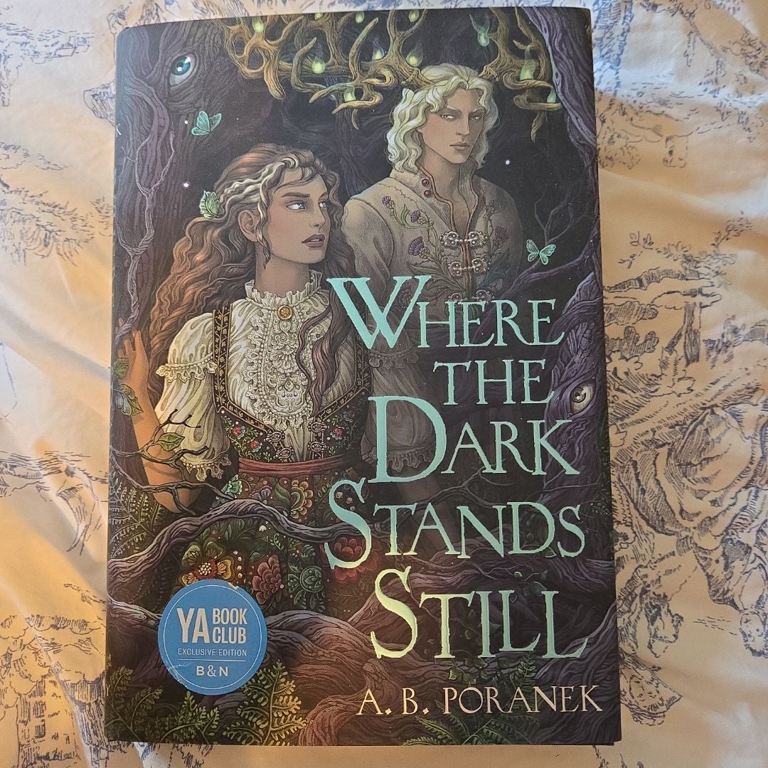 Where the Dark Stands Still by A.B. Poranek, Hardcover | Pangobooks
