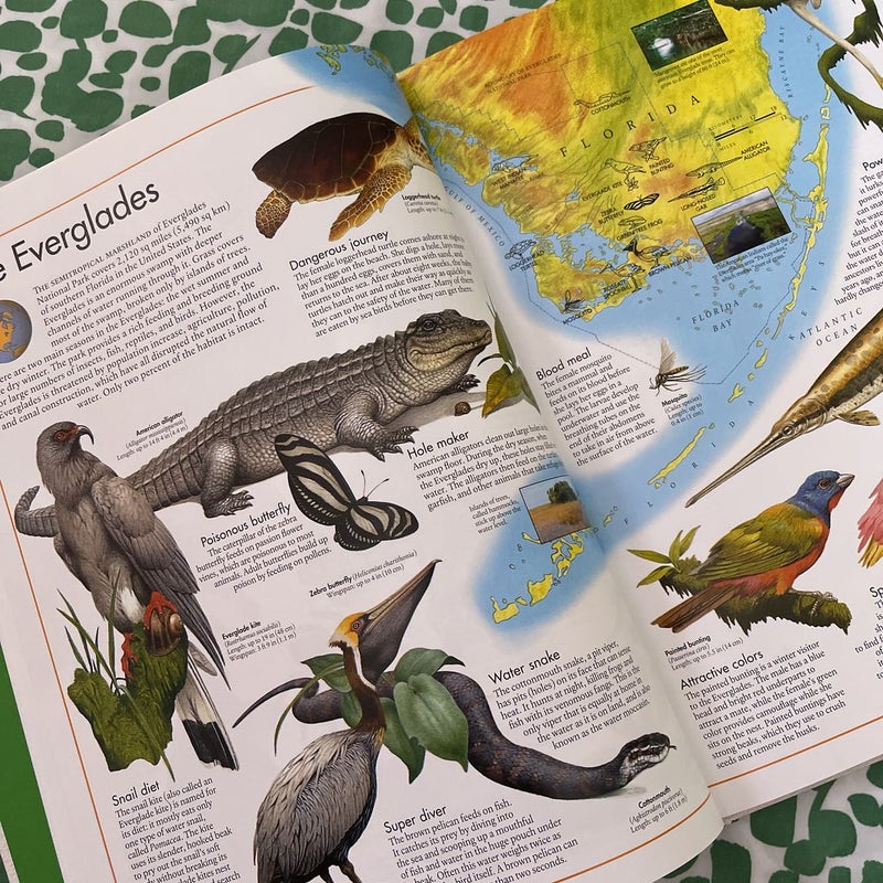 The Animal Atlas