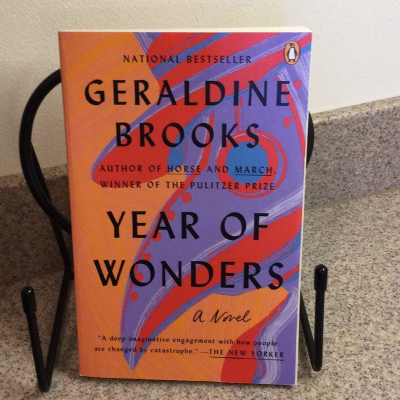 Year of Wonders by Geraldine Brooks, Paperback | Pangobooks