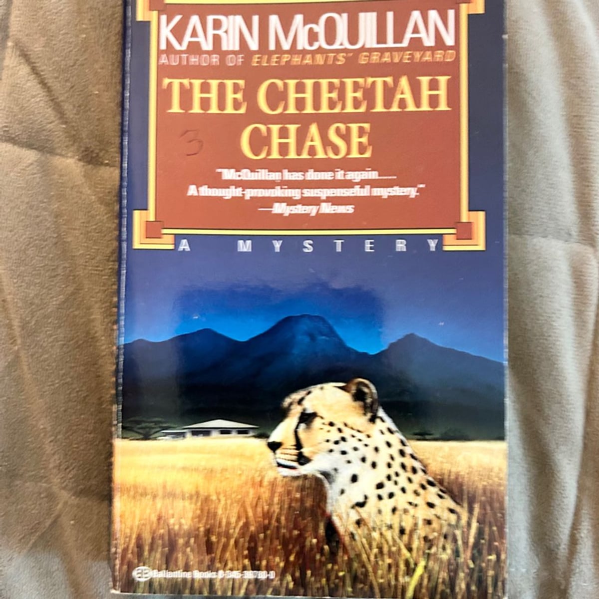 The Cheetah Chase by Karin McQuillan, Paul G. Irwin