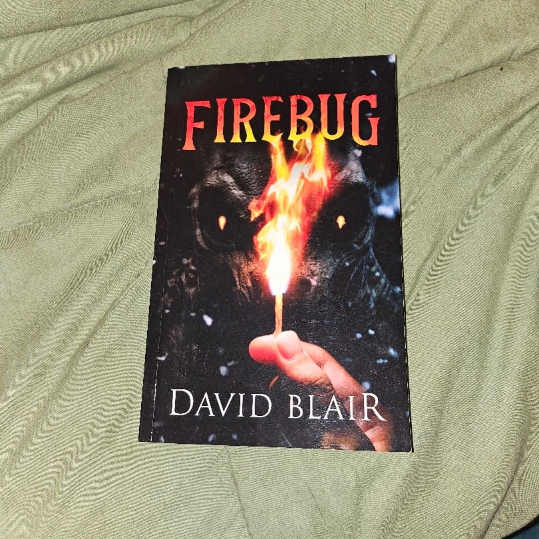 Firebug: a Novel by David Blair