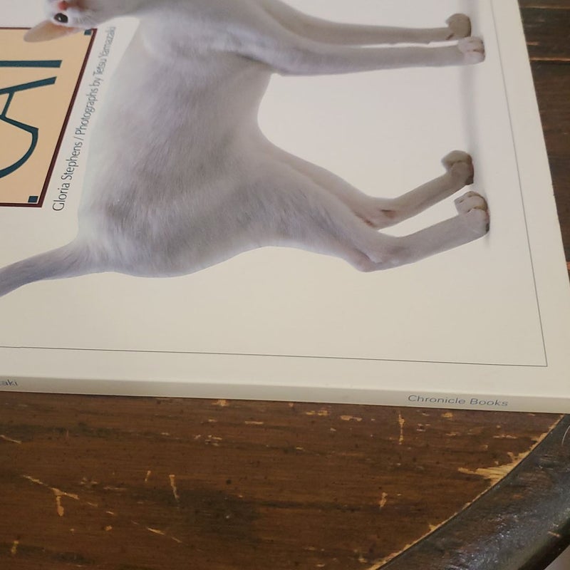 Legacy of the Cat by Tetsu Yamazaki, Gloria Stephens