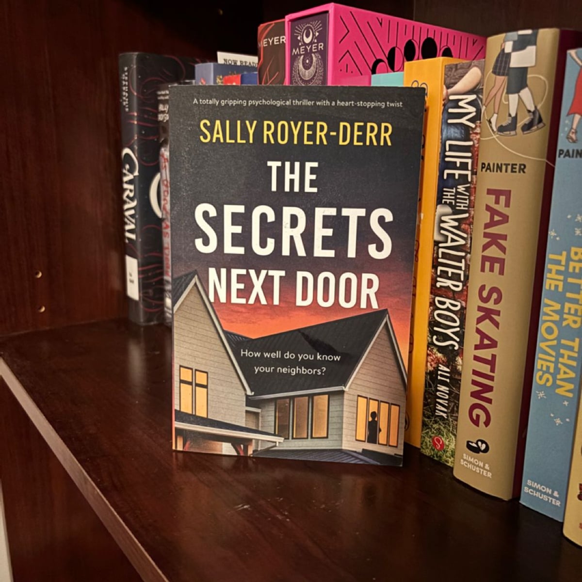The Secrets Next Door by Sally Royer-Derr