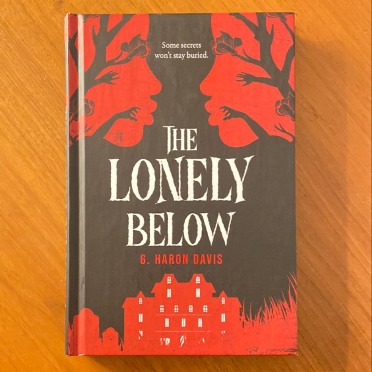 The Lonely Below by G. haron davis