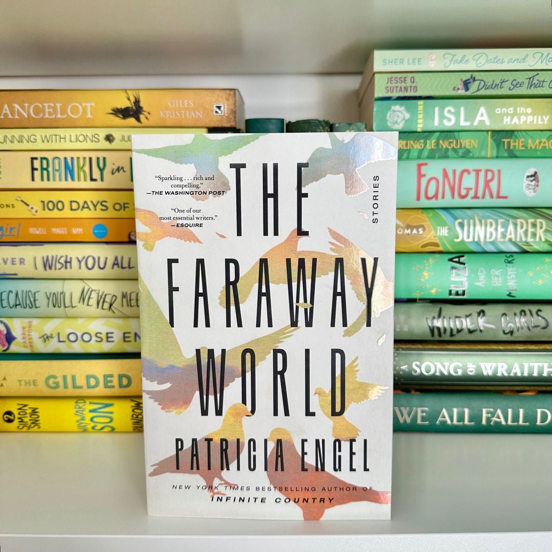 The Faraway World by Patricia Engel