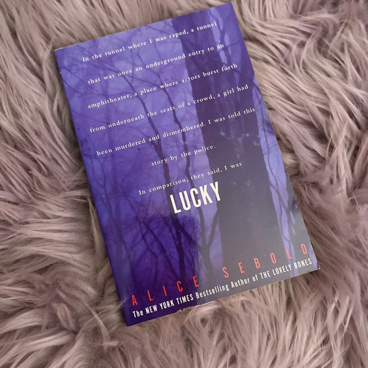 Lucky by Alice Sebold, Paperback | Pangobooks