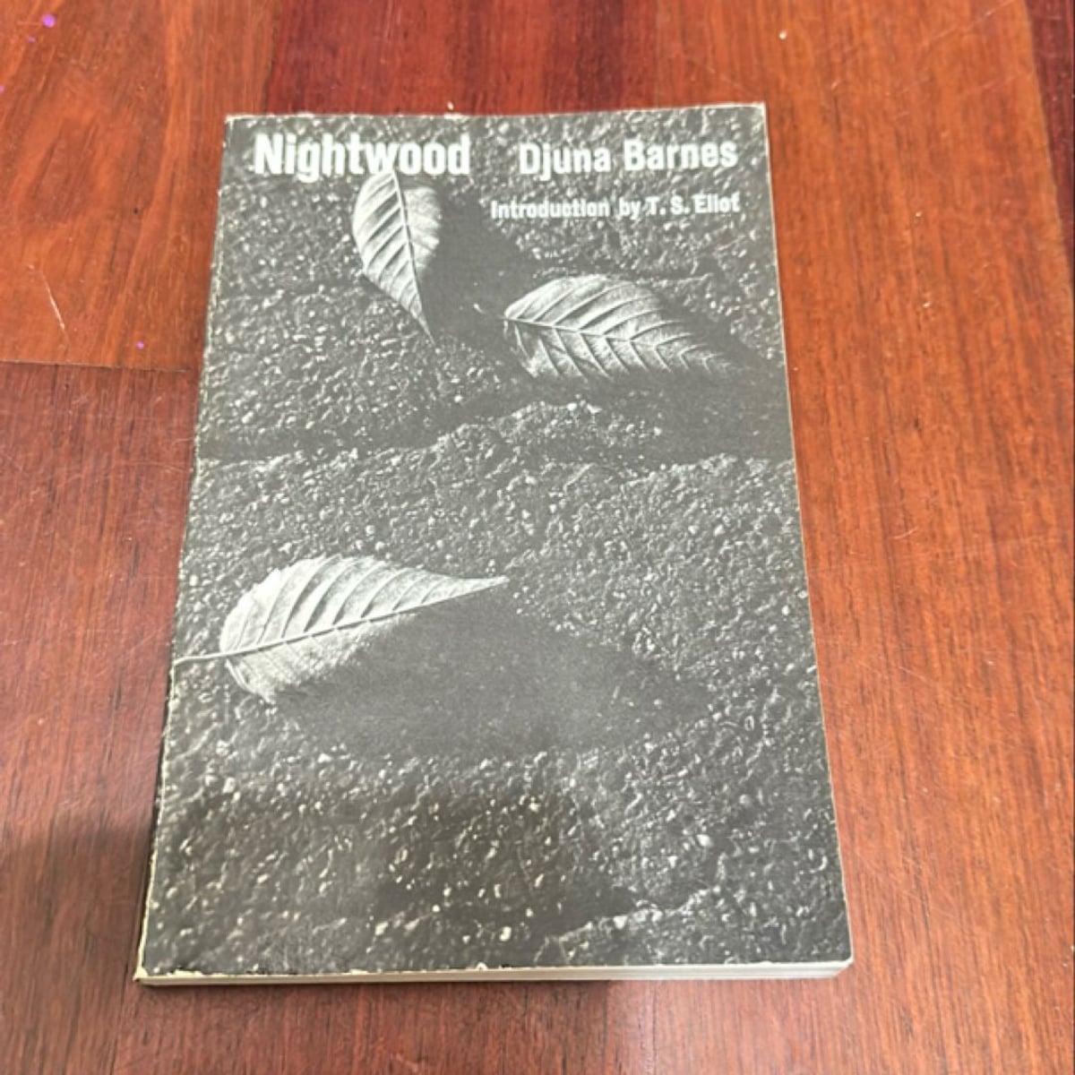 Nightwood by Djuna Barnes, Jeanette Winterson, T. S. Eliot