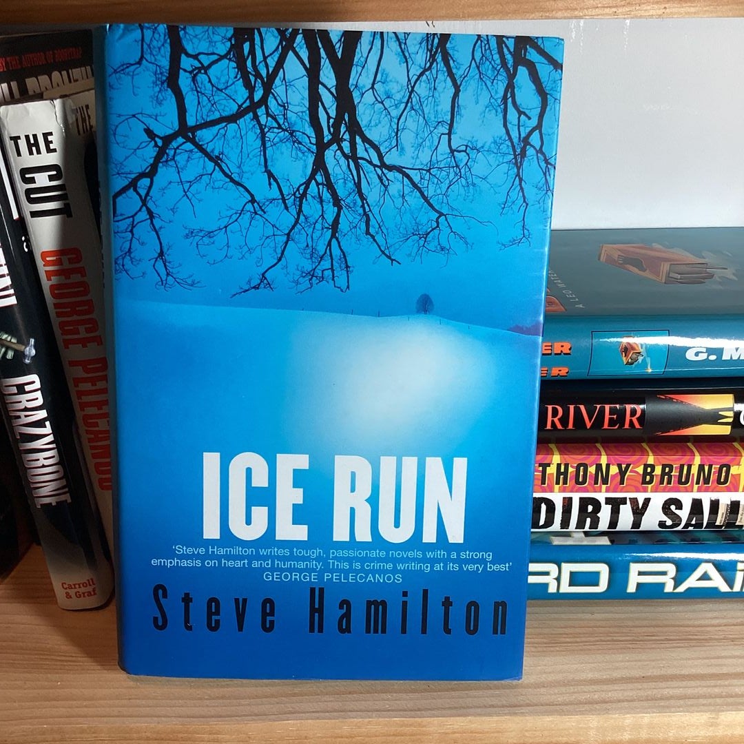 Ice Run by Steve Hamilton