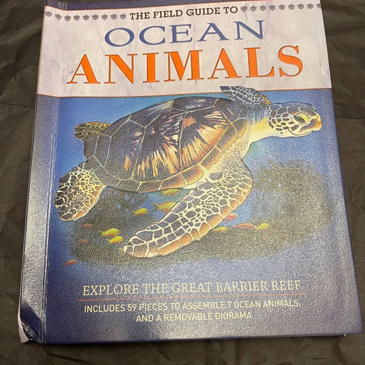 The Field Guide to Ocean Animals by Phyllis Perry
