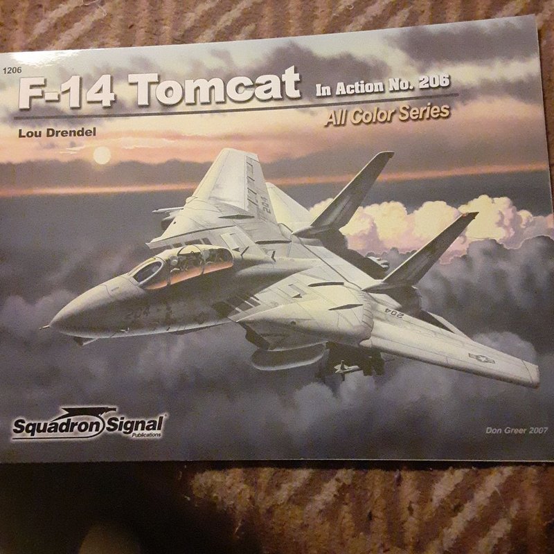 F-14 Tomcat by Lou Drendel