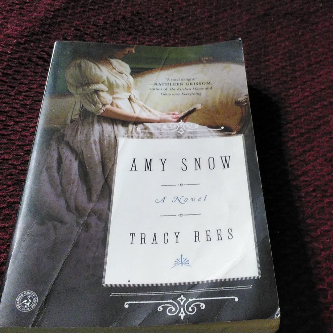 Amy Snow by Tracy Rees
