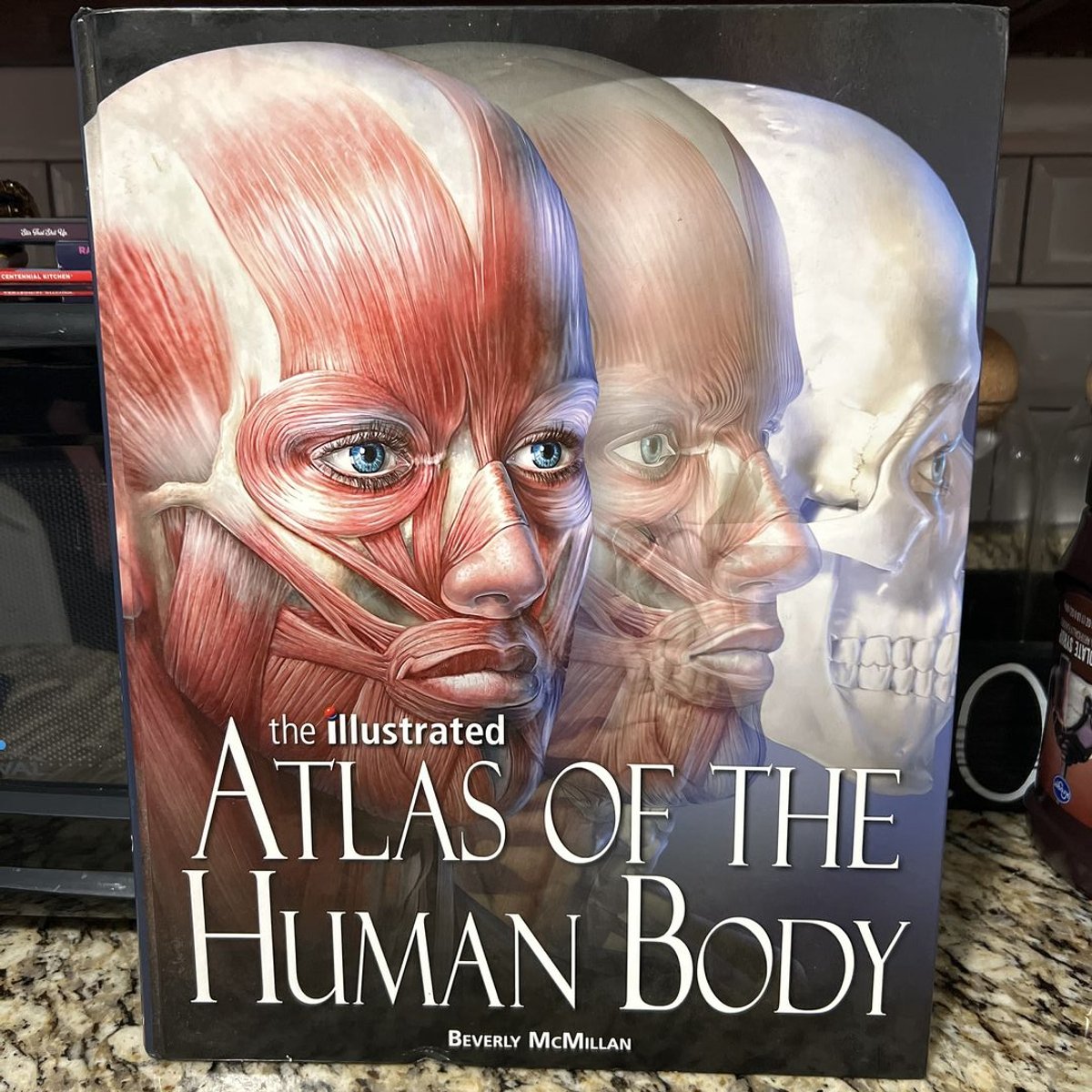 The Illustrated Atlas of the Human Body by Beverly Mcmillan
