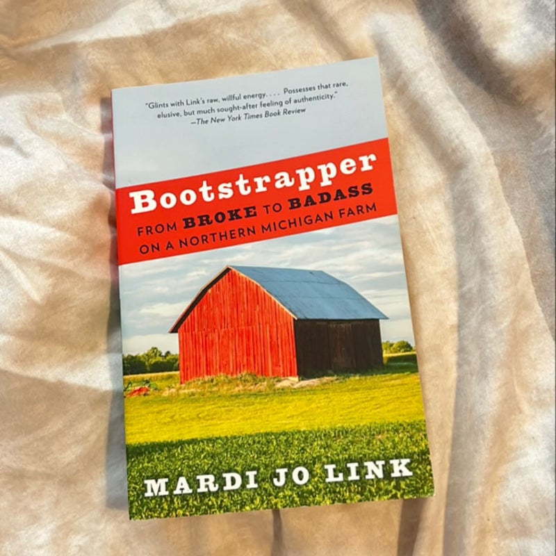 Bootstrapper by Mardi Jo Link