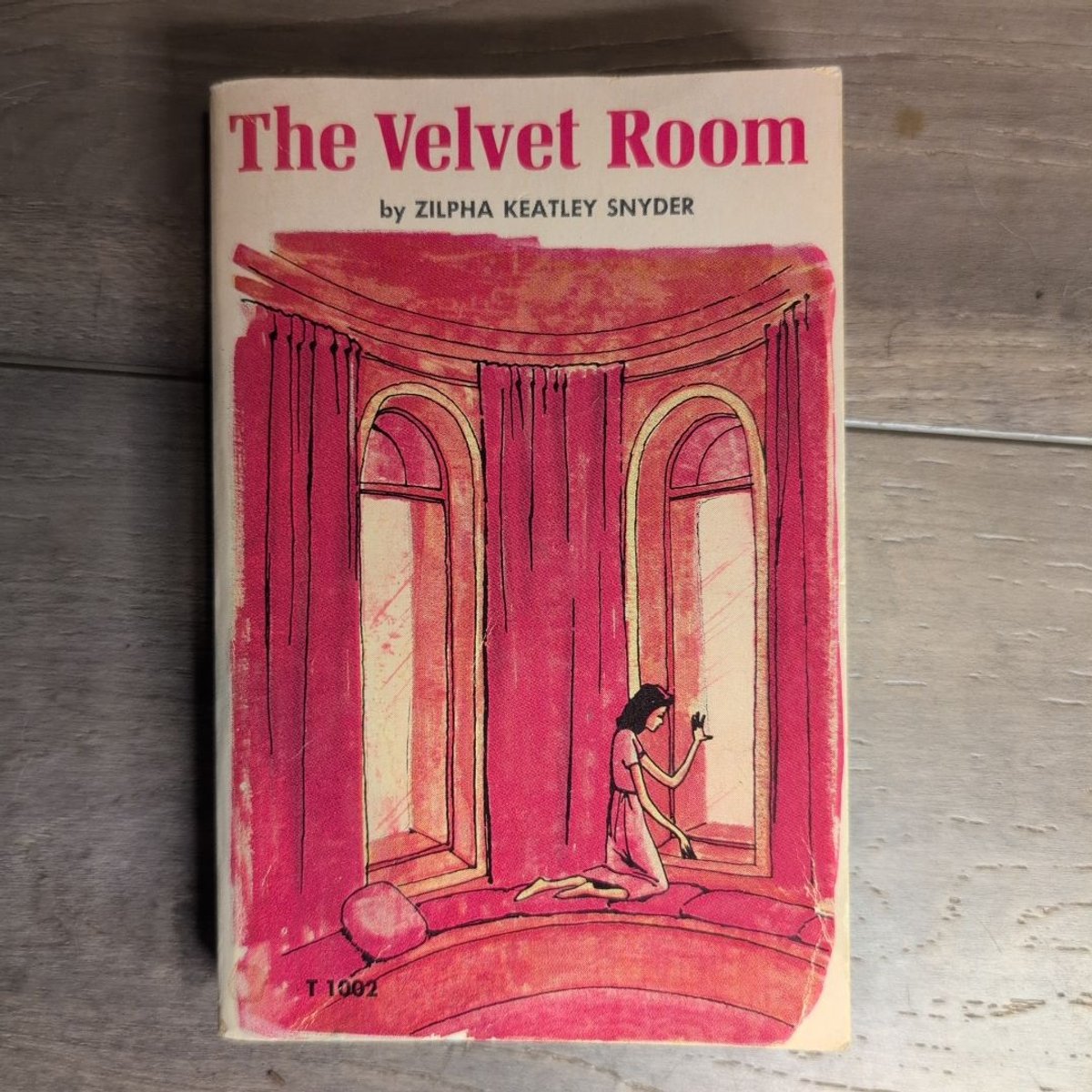 The Velvet Room by Zilpha Keatley Snyder