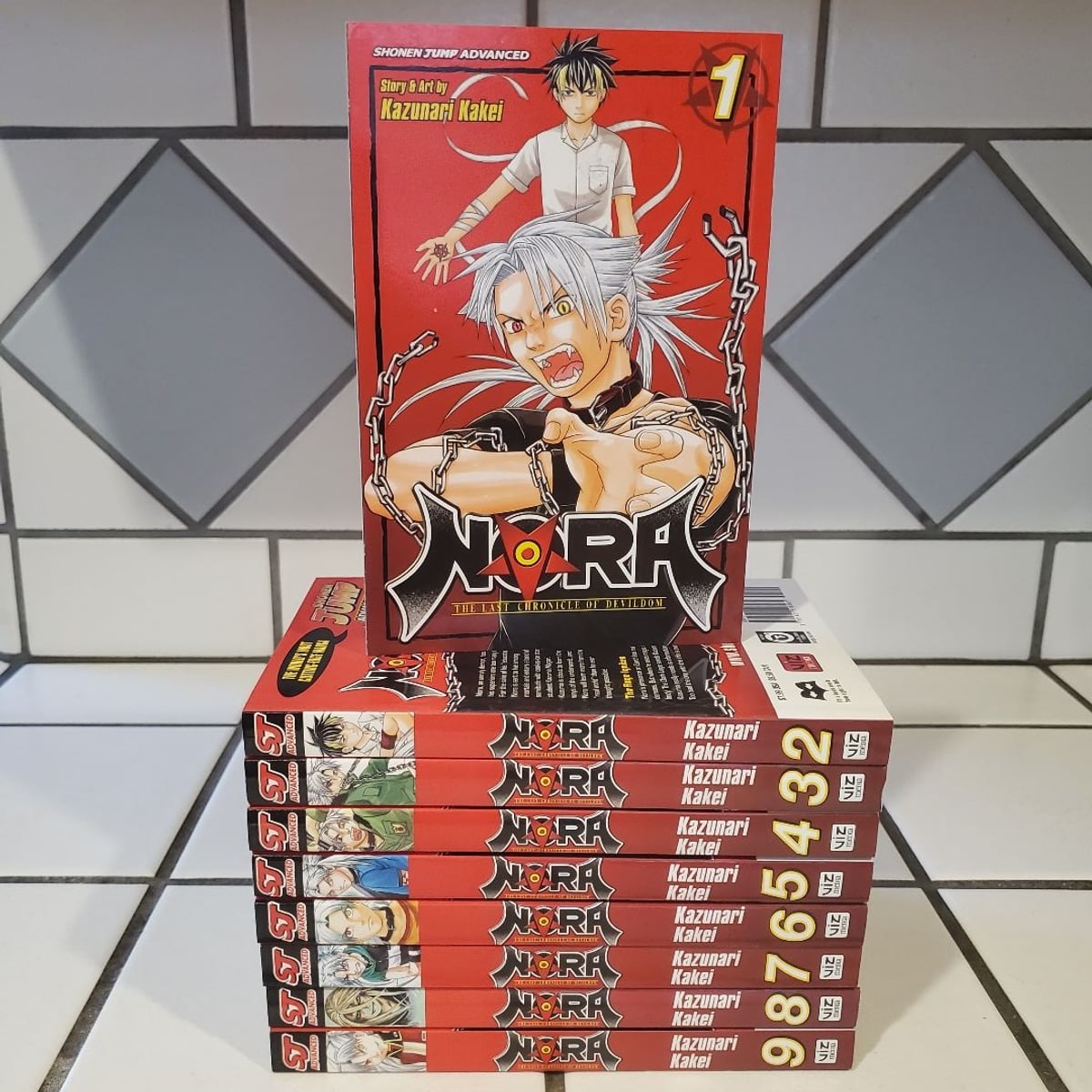 NORA: The Last Chronicle of Devildom - Complete 9 Volumes