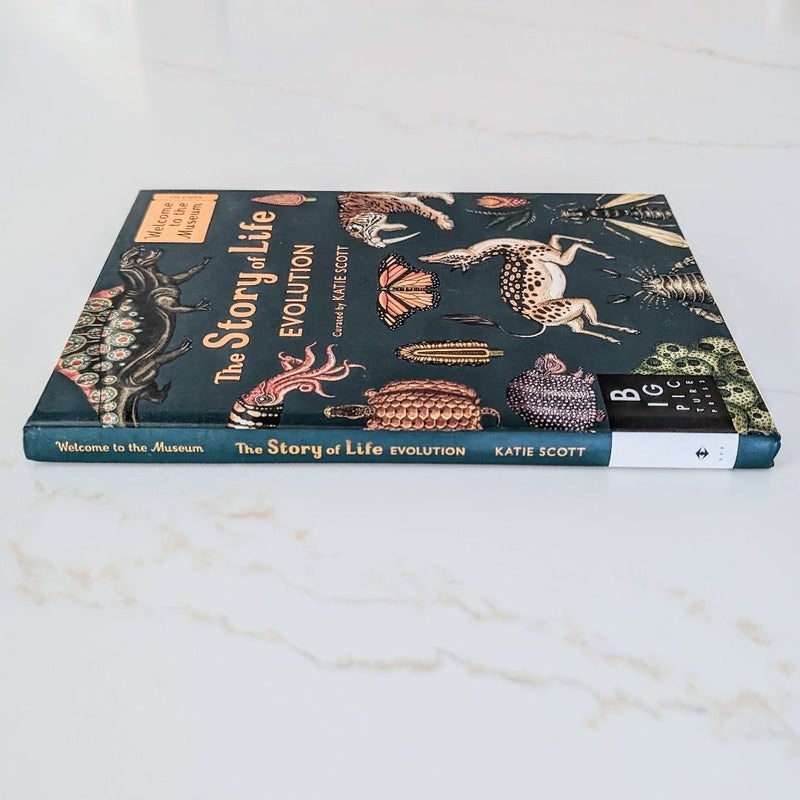 The Story of Life: Evolution (Extended Edition) by Ruth Symons ...