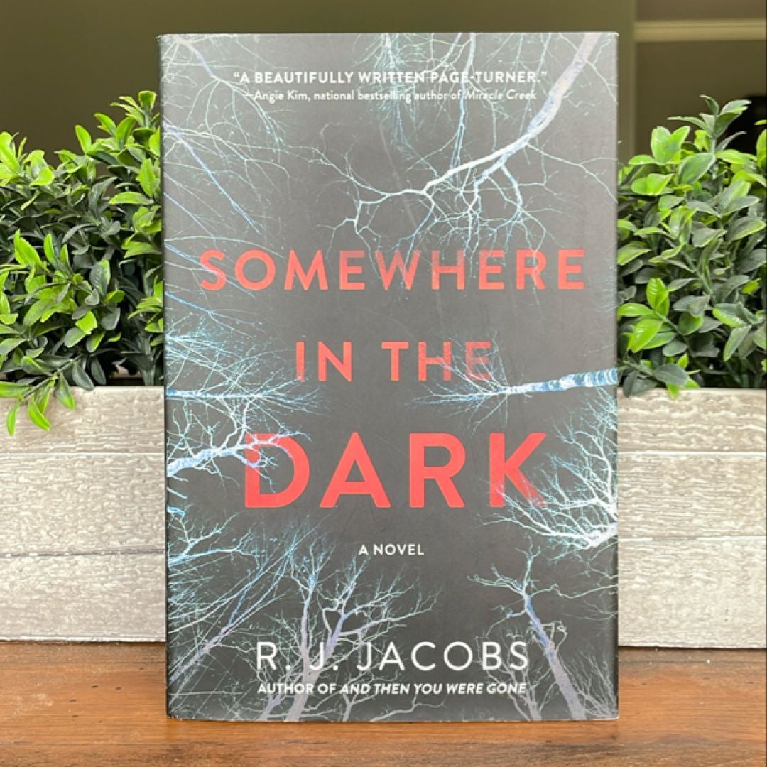 Somewhere in the Dark by R. J. Jacobs