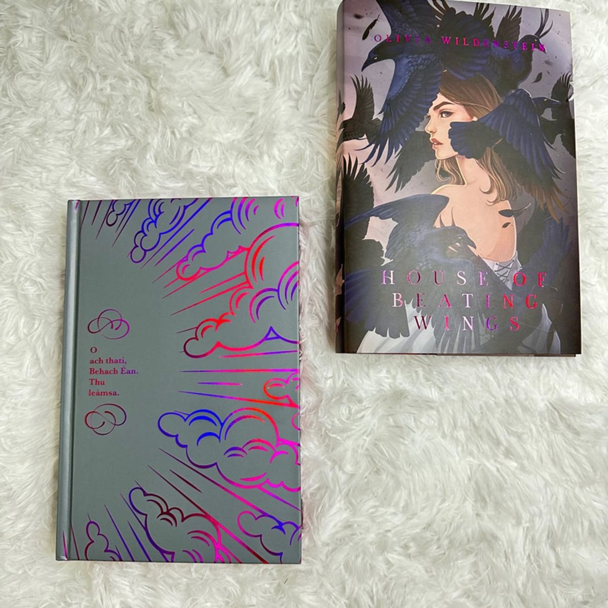 House of Beating Wings | The Bookish Box by Olivia Wildenstein ...