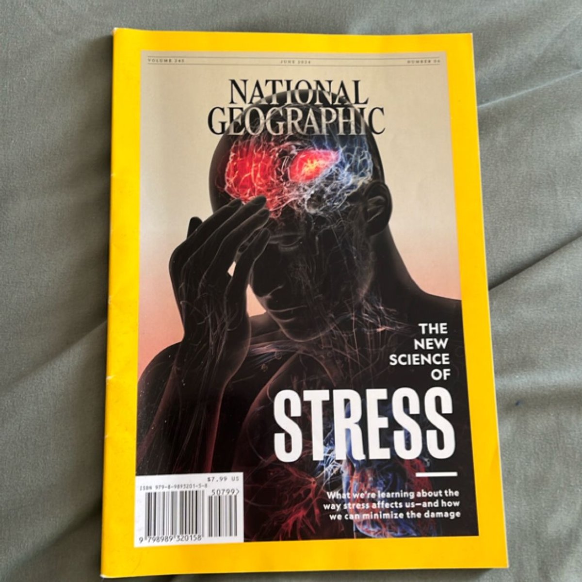 National Geographic Magazine June 2024 - Bulk by National Geographic ...