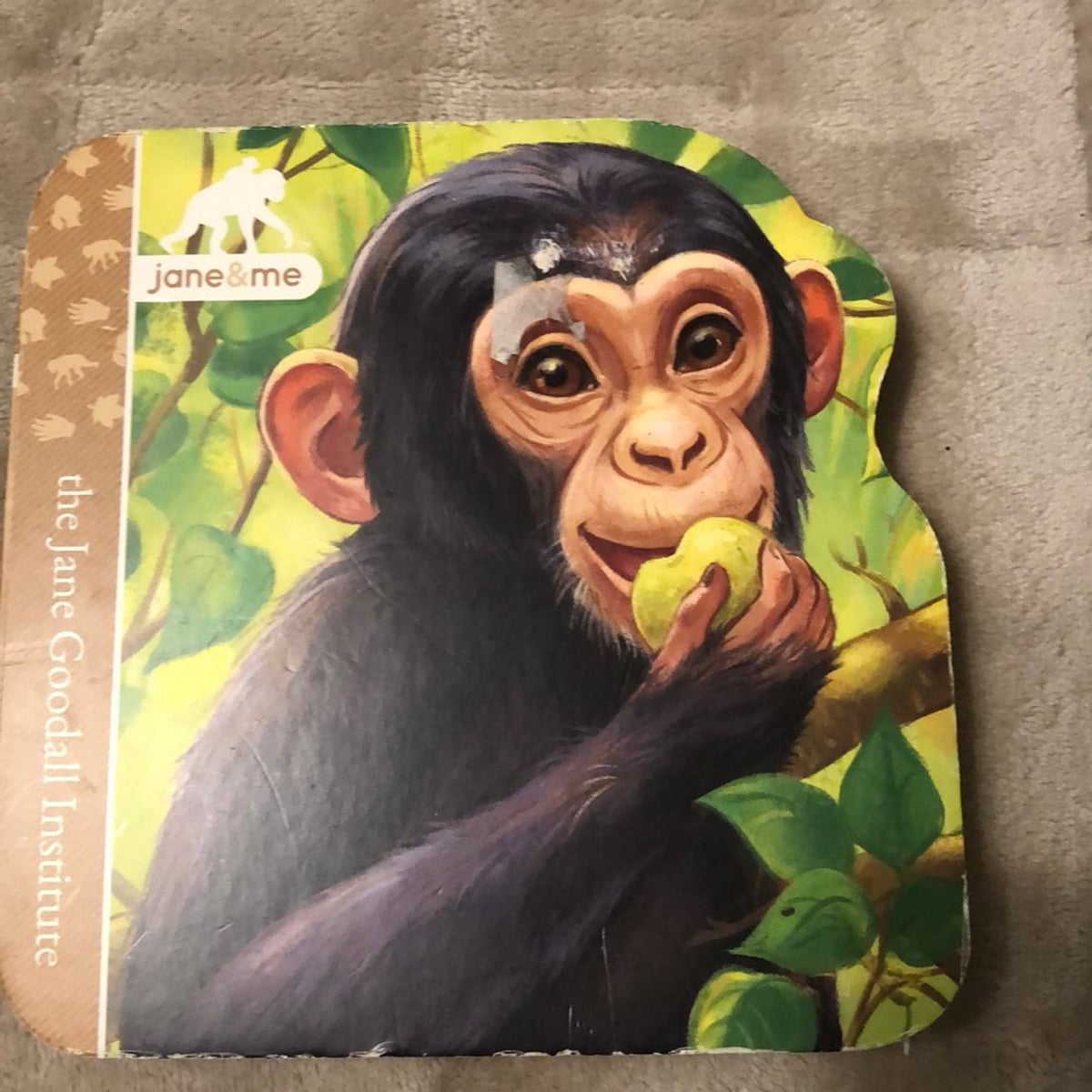 Jane and Me Chimpanzees (the Jane Goodall Institute) by Jaye Garnett