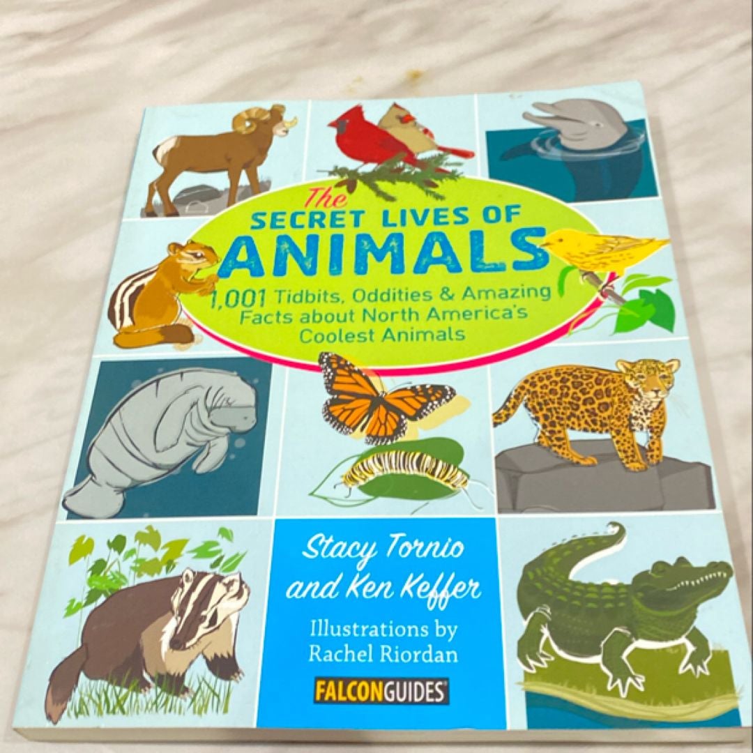 The Secret Lives of Animals by Stacy Tornio, Ken Keffer