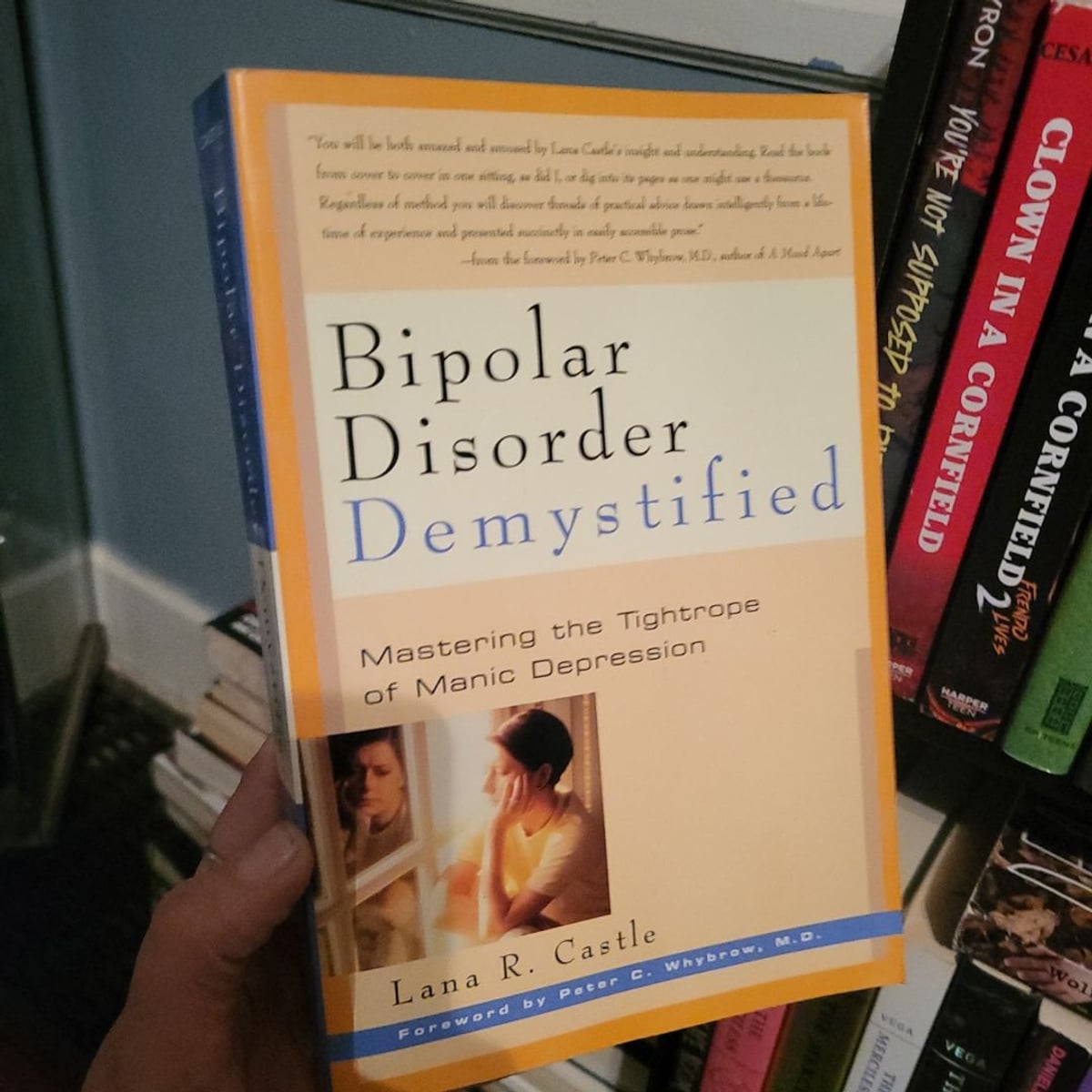Bipolar Disorder Demystified by Lana R. Castle, Paperback | Pangobooks