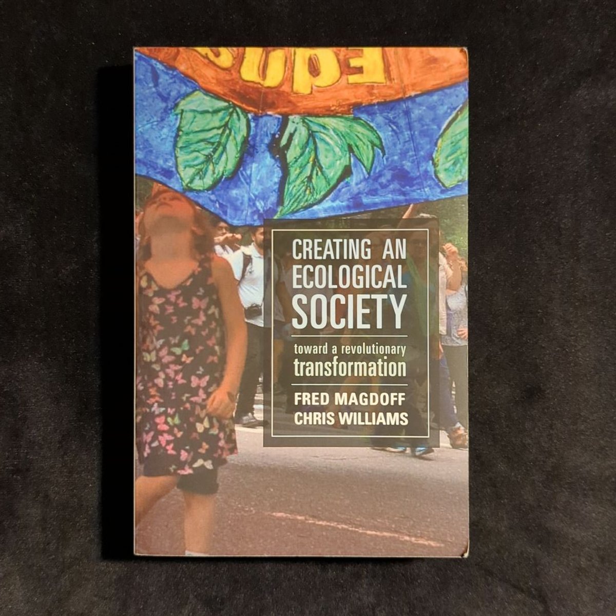Creating an Ecological Society by Fred Magdoff, Chris Williams