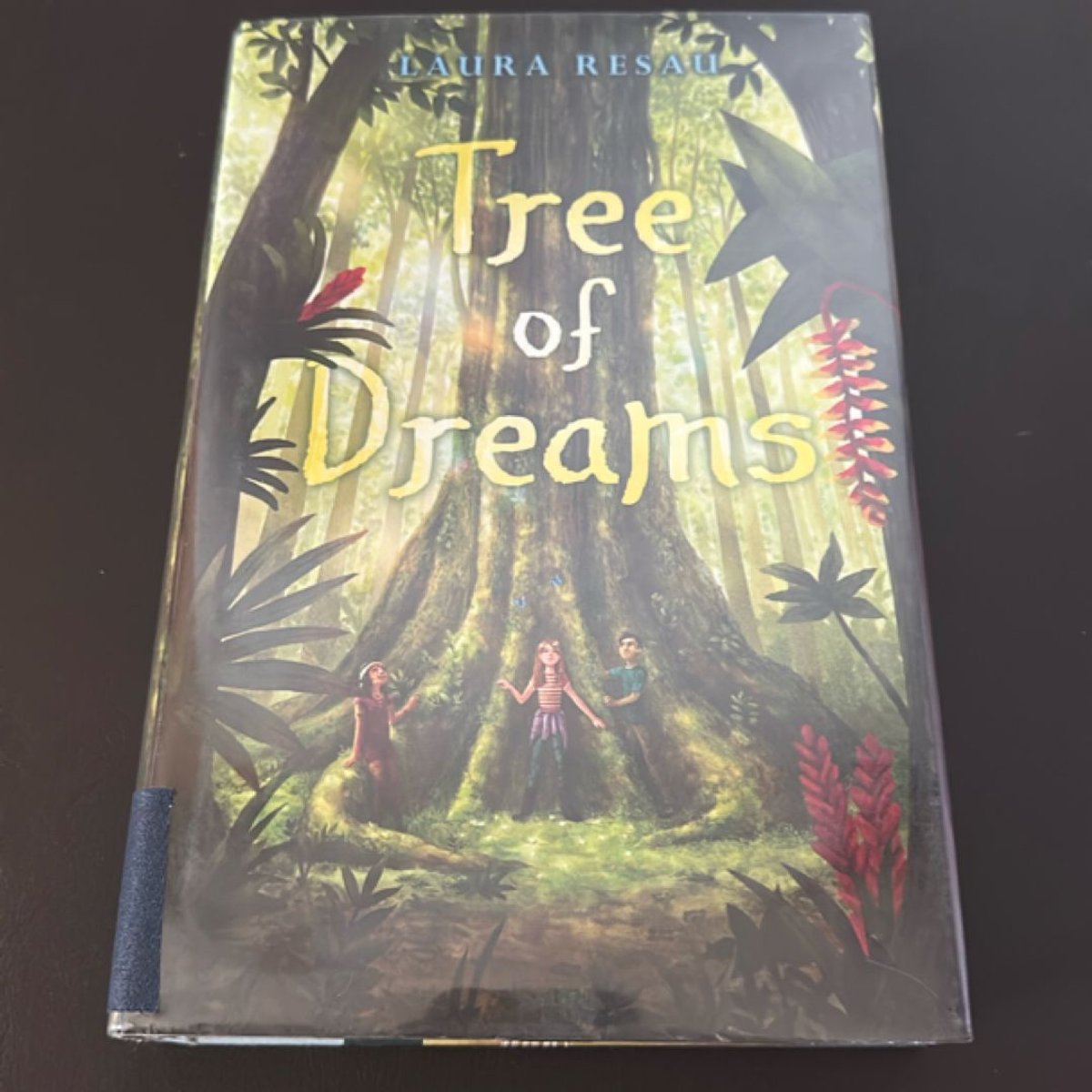 Tree of Dreams by Laura Resau