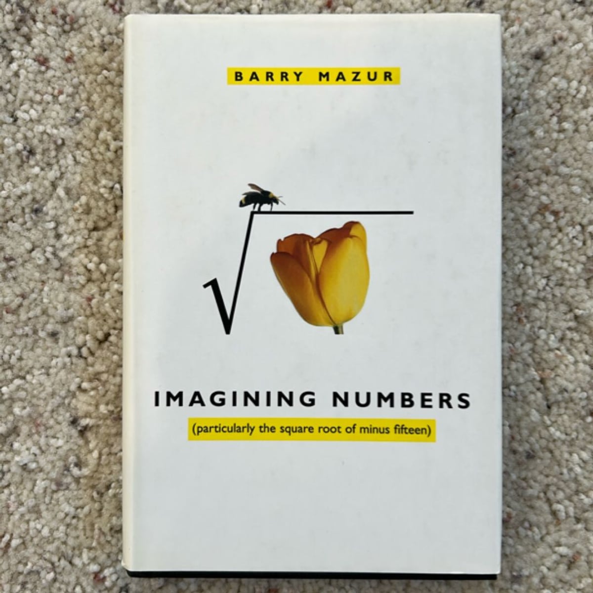 Imagining Numbers by Barry Mazur