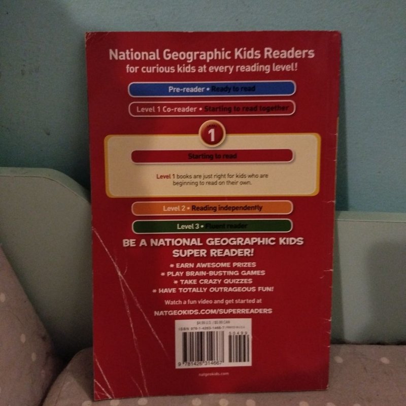 Koalas (National Geographic Kids Readers, Level 1) by Laura Marsh