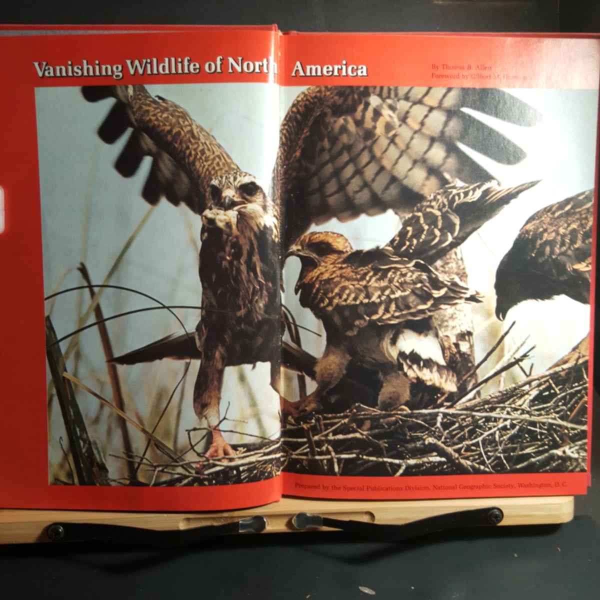 Vanishing Wildlife of North America by Thomas B. Allen