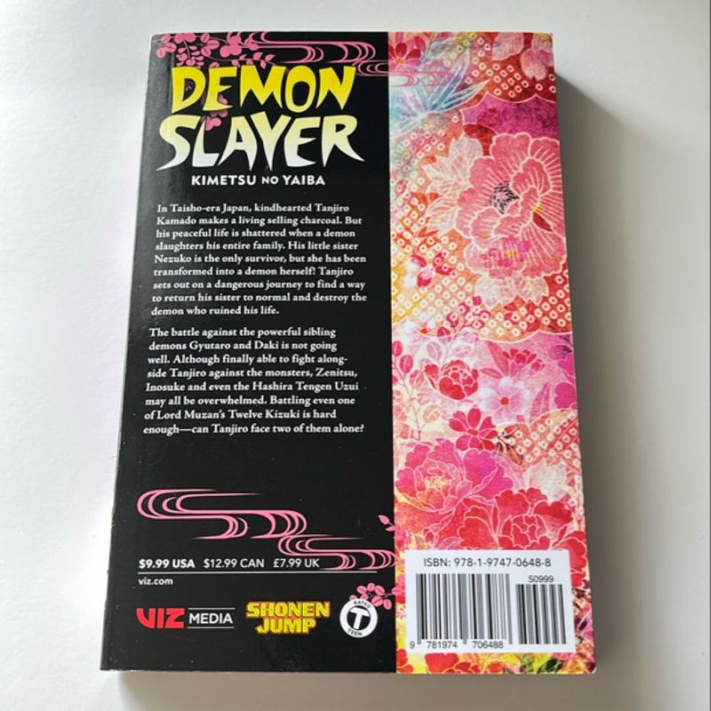 Demon Slayer: Kimetsu No Yaiba, Vol. 11 by Koyoharu Gotouge