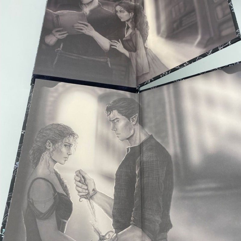 Untainted and Untamed Bookish Box by Lilian T James , Hardcover ...