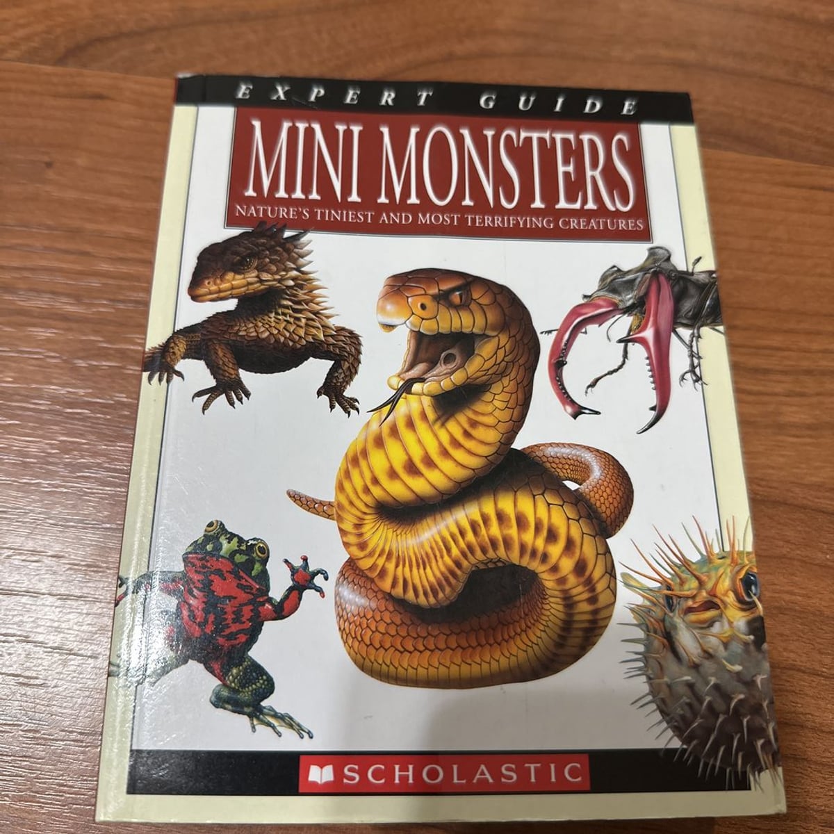 Mini Monsters. Expert Guide by Scholastic Books, Paperback | Pangobooks