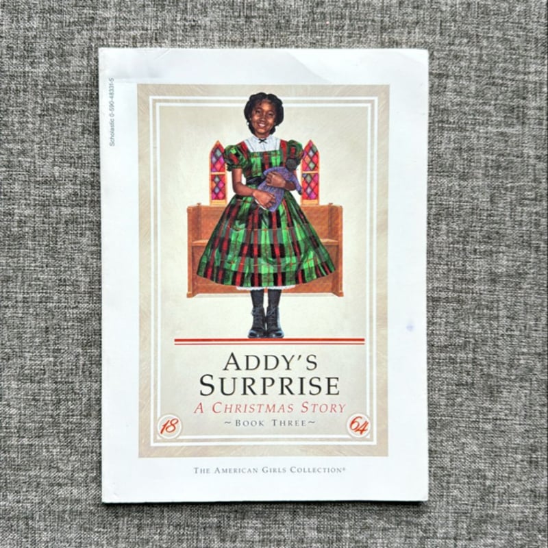 Addy’s Surprise by Connie Porter, Paperback | Pangobooks