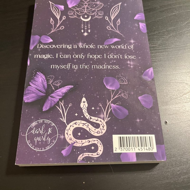 The Magic of Discovery by Britt Andrews, Paperback | Pangobooks