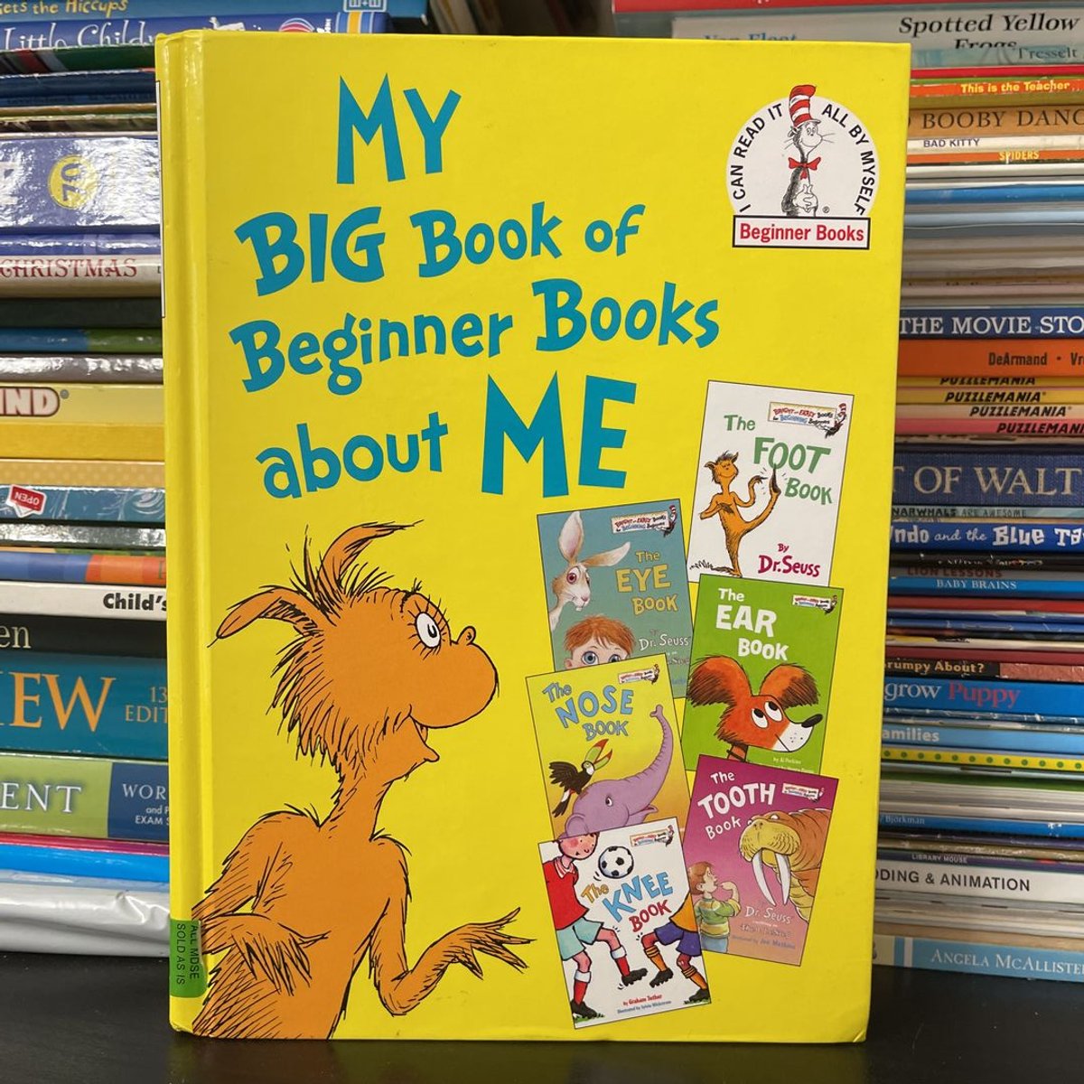 My Big Book of Beginner Books about Me by