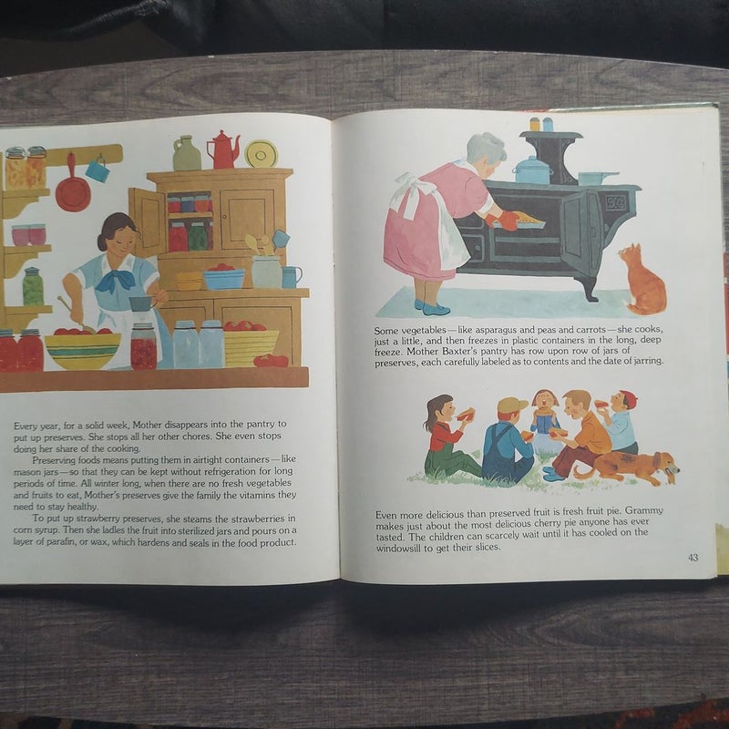 The Big Farm Book by Annie Ingle, Hardcover | Pangobooks