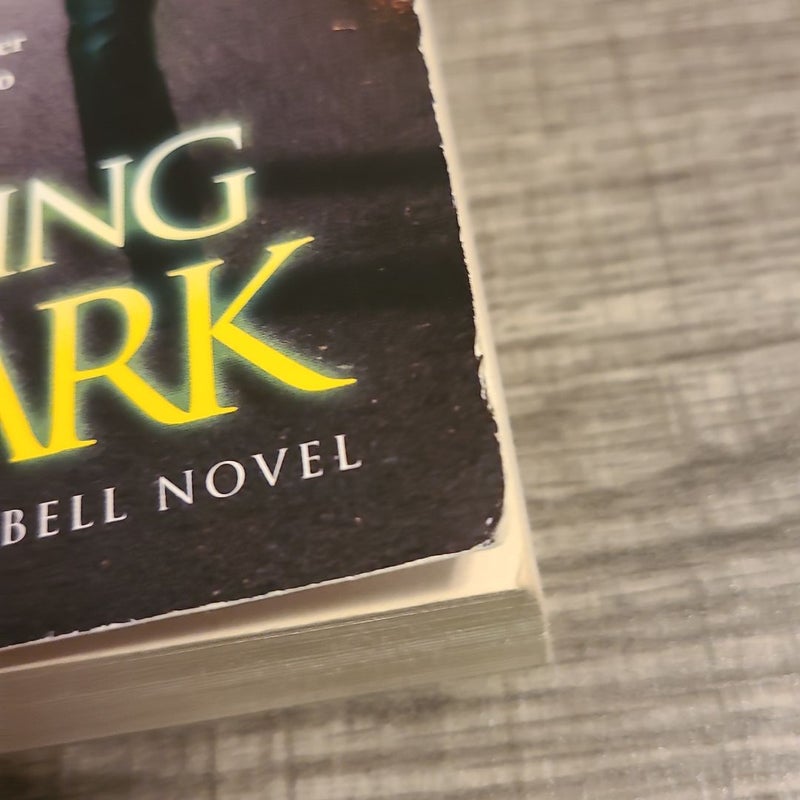 Banishing the Dark by Jenn Bennett