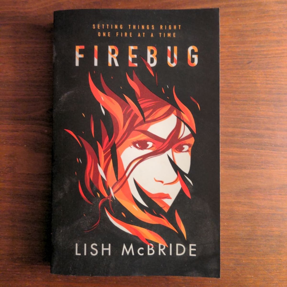 Firebug by Lish McBride