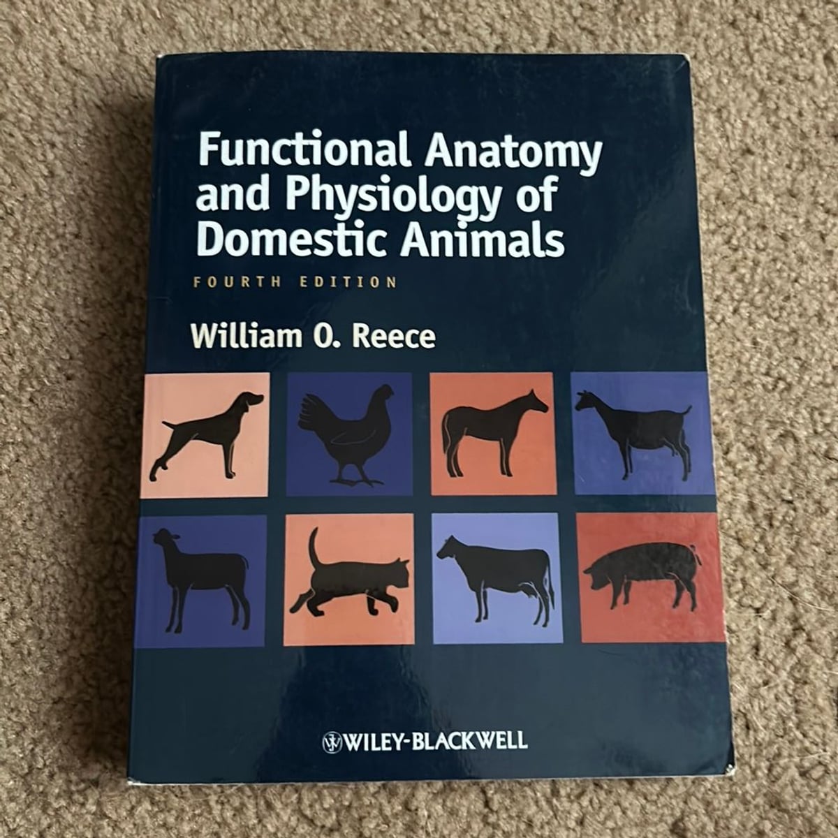 Anatomy Domestic Animals Atlas Of Topographical Anatomy Of The