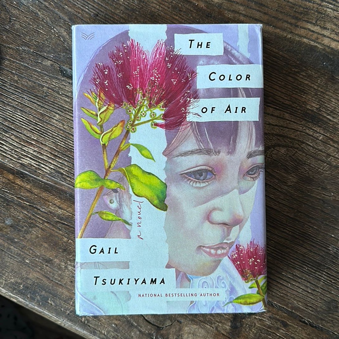 The Color of Air by Gail Tsukiyama