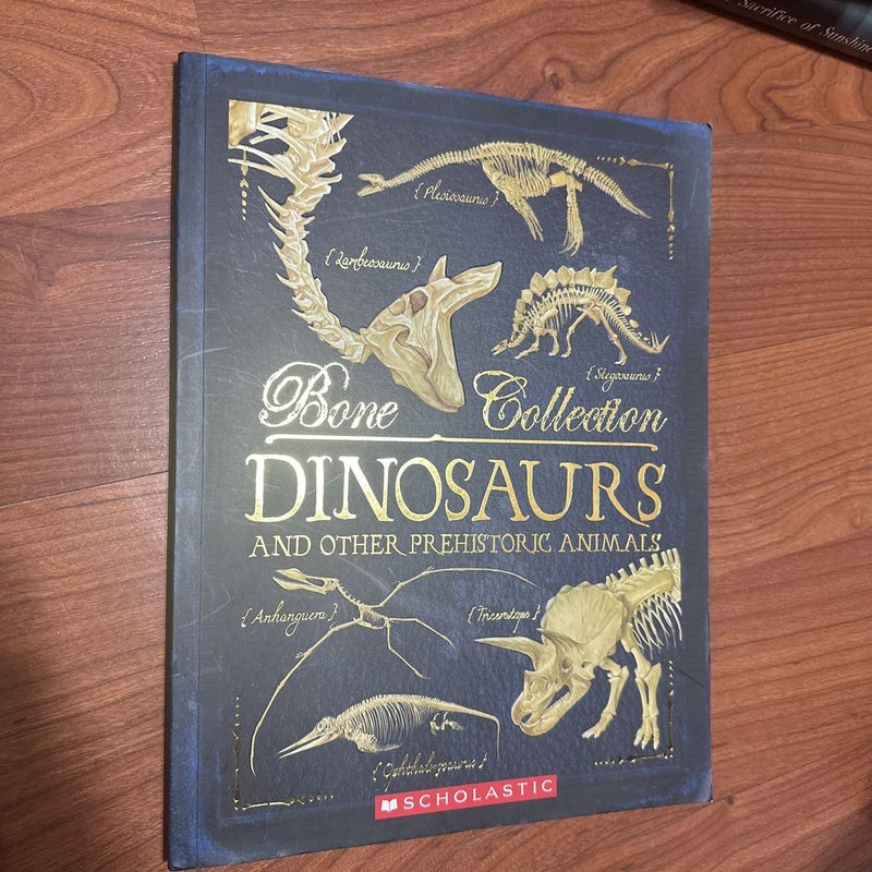 Bone Collection by Rob Colson