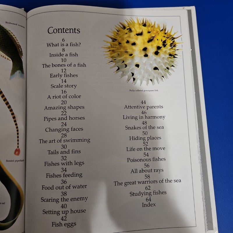 DK Eyewitness Books: Fish by Steve Parker