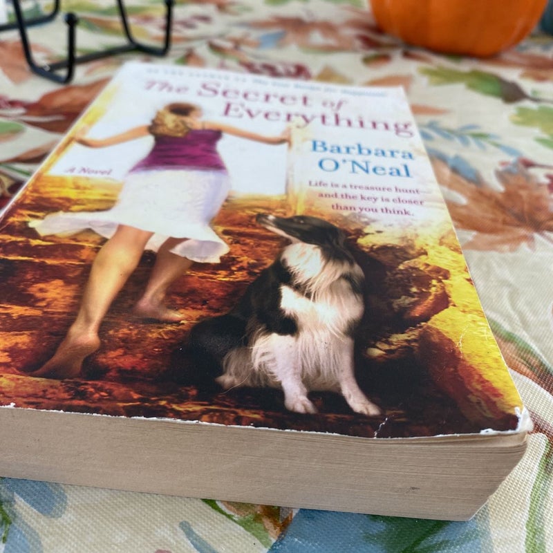 The Secret of Everything by Barbara O'Neal