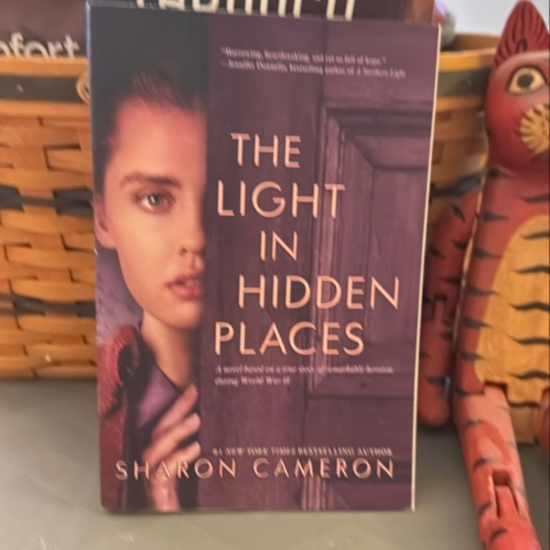 The Light in Hidden Places by Sharon Cameron